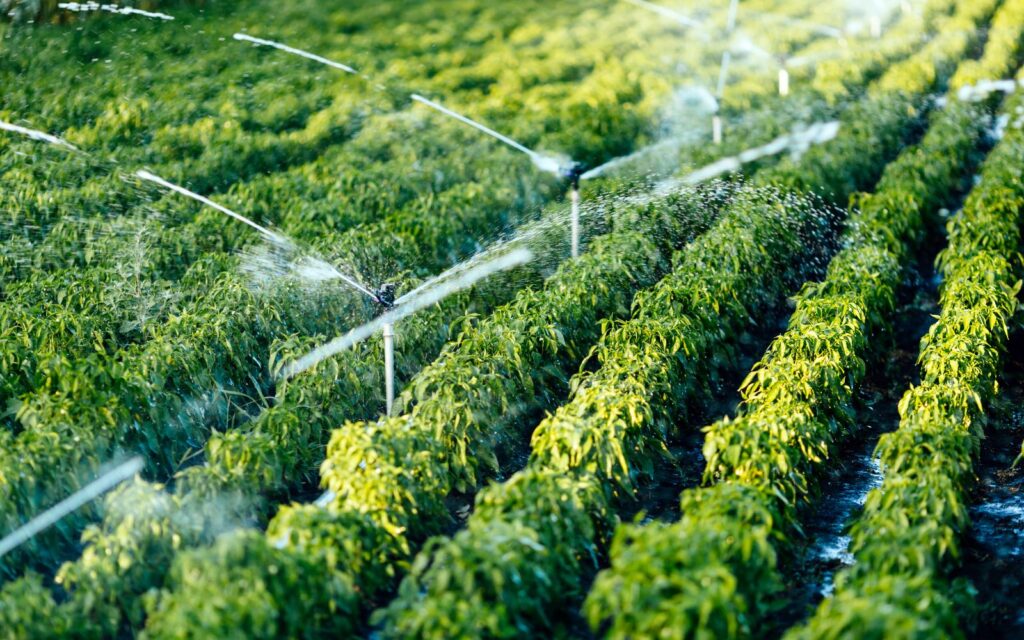 Farm Sprinkler Systems – New Jersey Irrigation Services